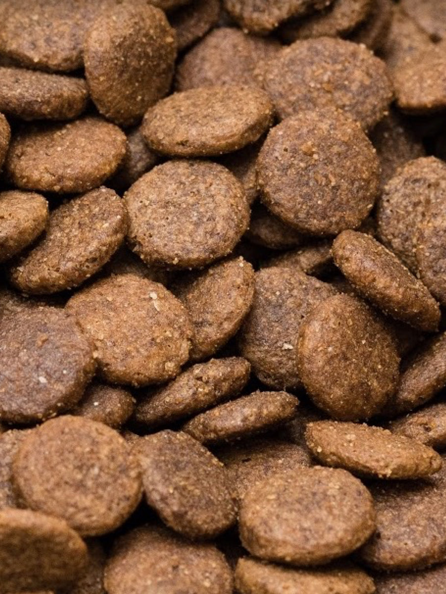 Conchobar Puppy Chicken with Turkey & Salmon 15kg